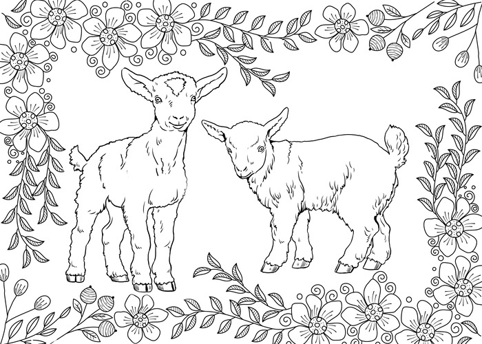 Just for Fun: Coloring Sheets - May/June 2025 - Goat Journal